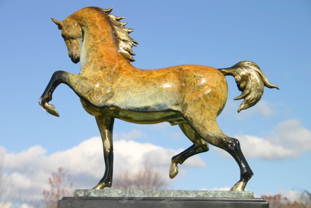 Devon Horse - All Classics