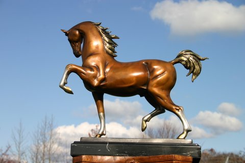 Devon Horse - All Classics